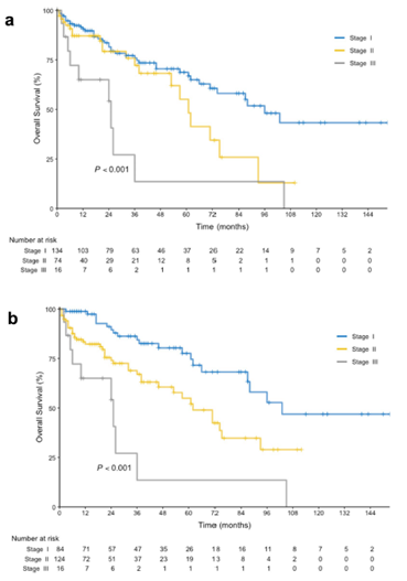 방사선의학 웹진